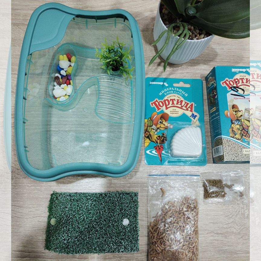 Аквариум для черепашки