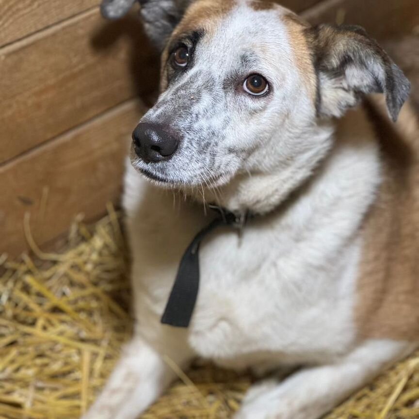 Лолита из приюта в поисках семьи