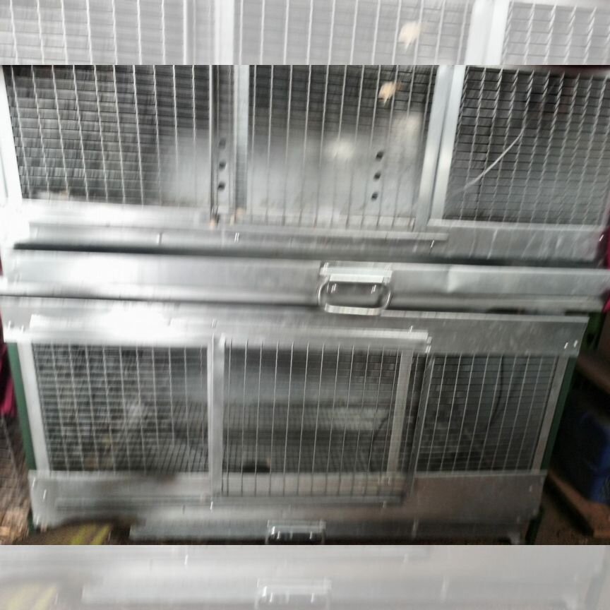 Для вывода цыплят