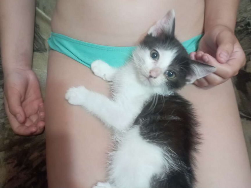 Отдадим в хорошие руки