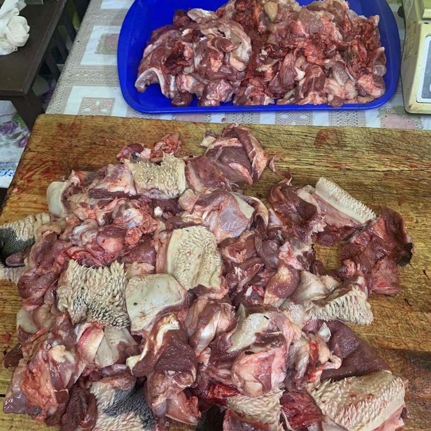 Мясо говядина для собак