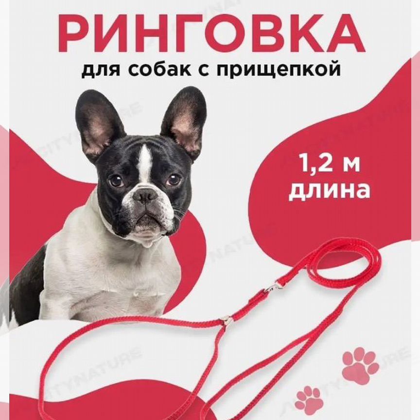 Ринговка для собак поводок удавка