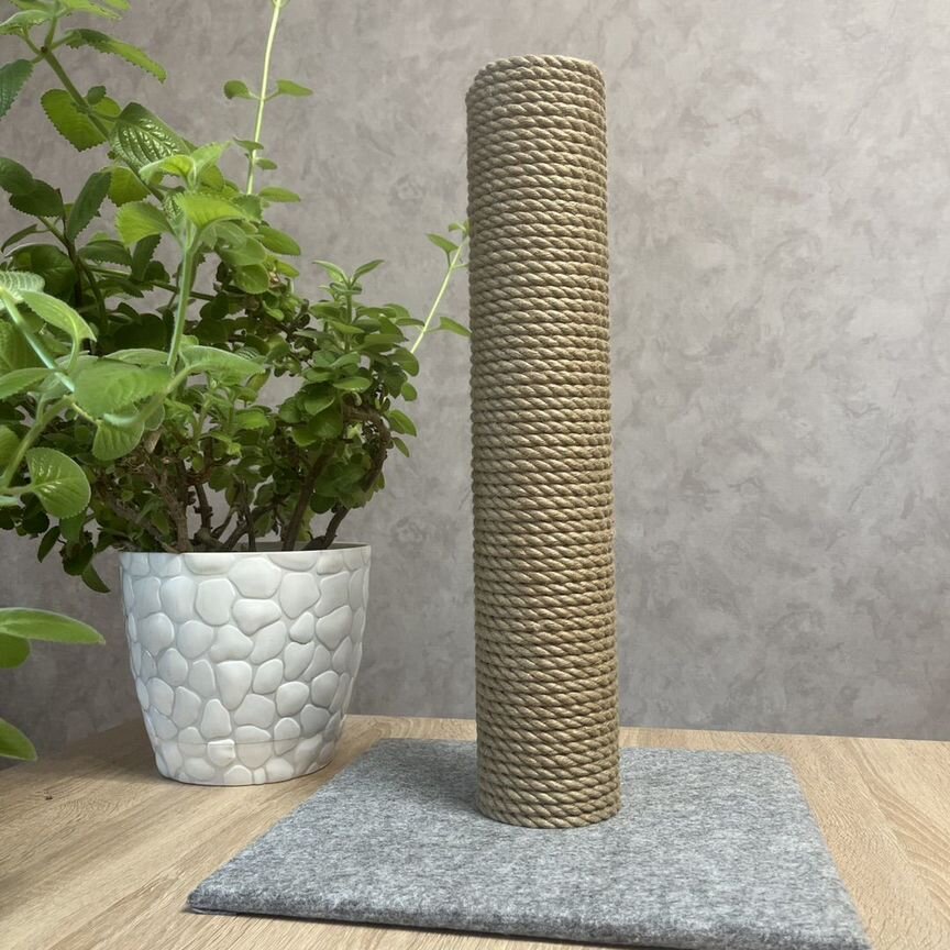 Когтеточка "Привыкайка"