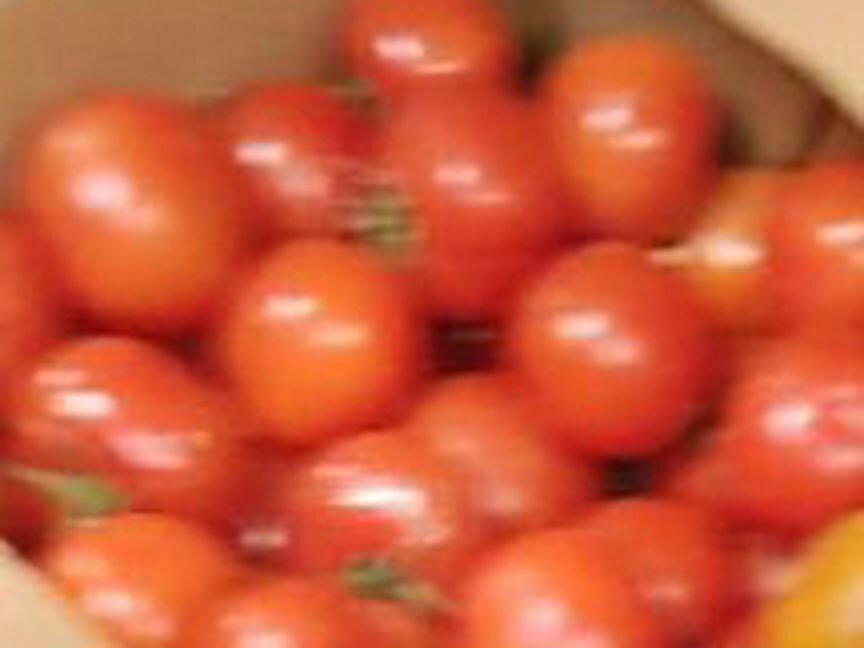 Помидоры