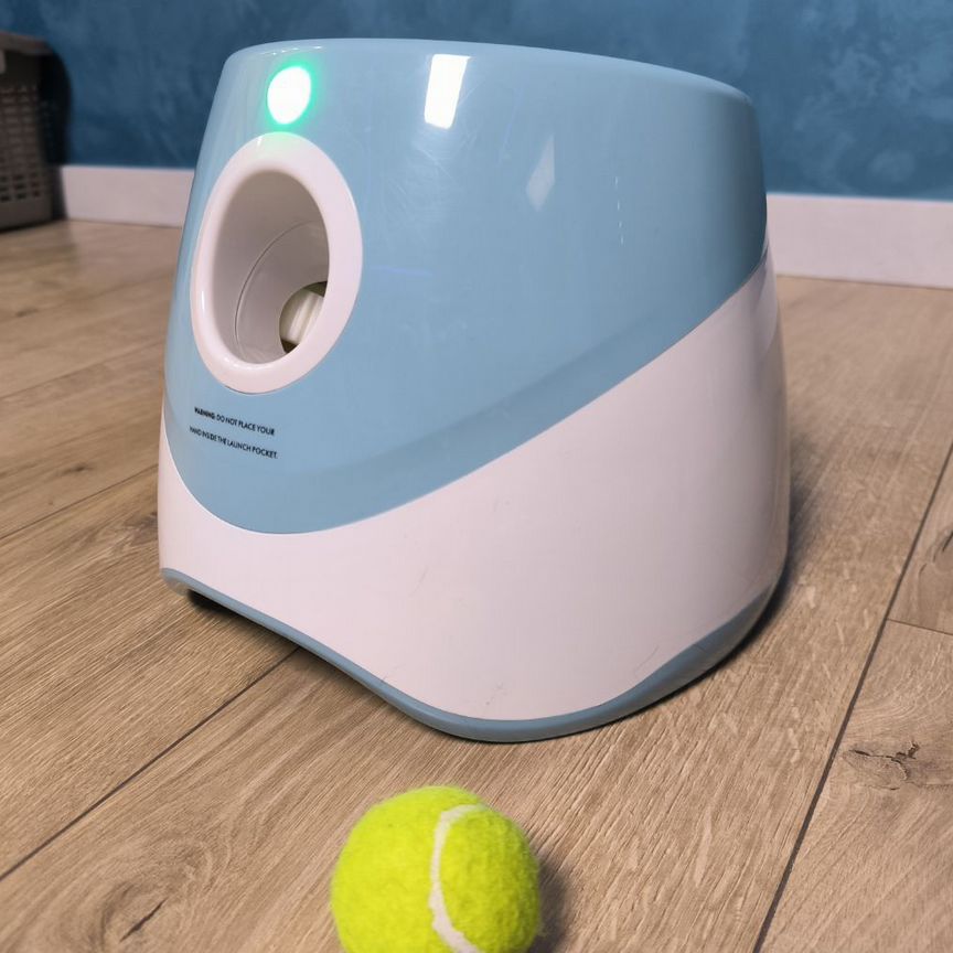 Катапульта для собак