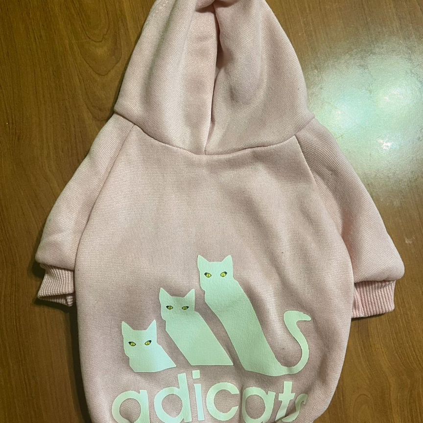 Одежда для кошки/котенка