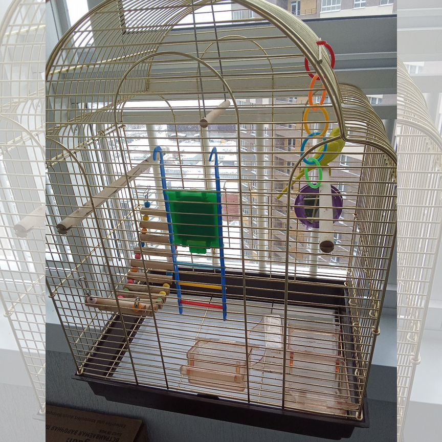 Клетка для попугая бу