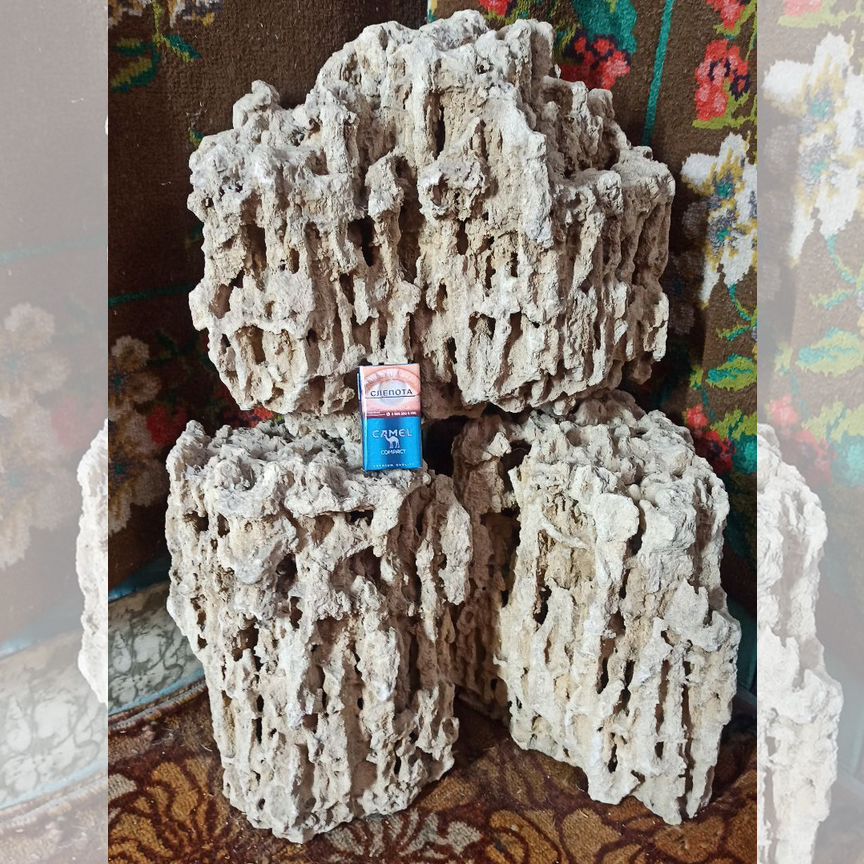 Песчанники