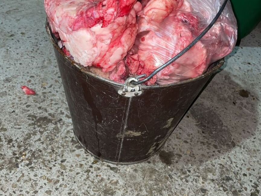 Атходы бычка