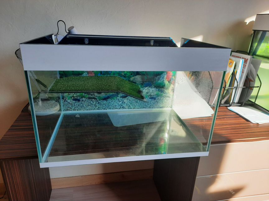 Террариум для красноухой черепахи, аквариум