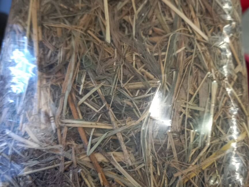 Сено Луговое, прессованное, 20л