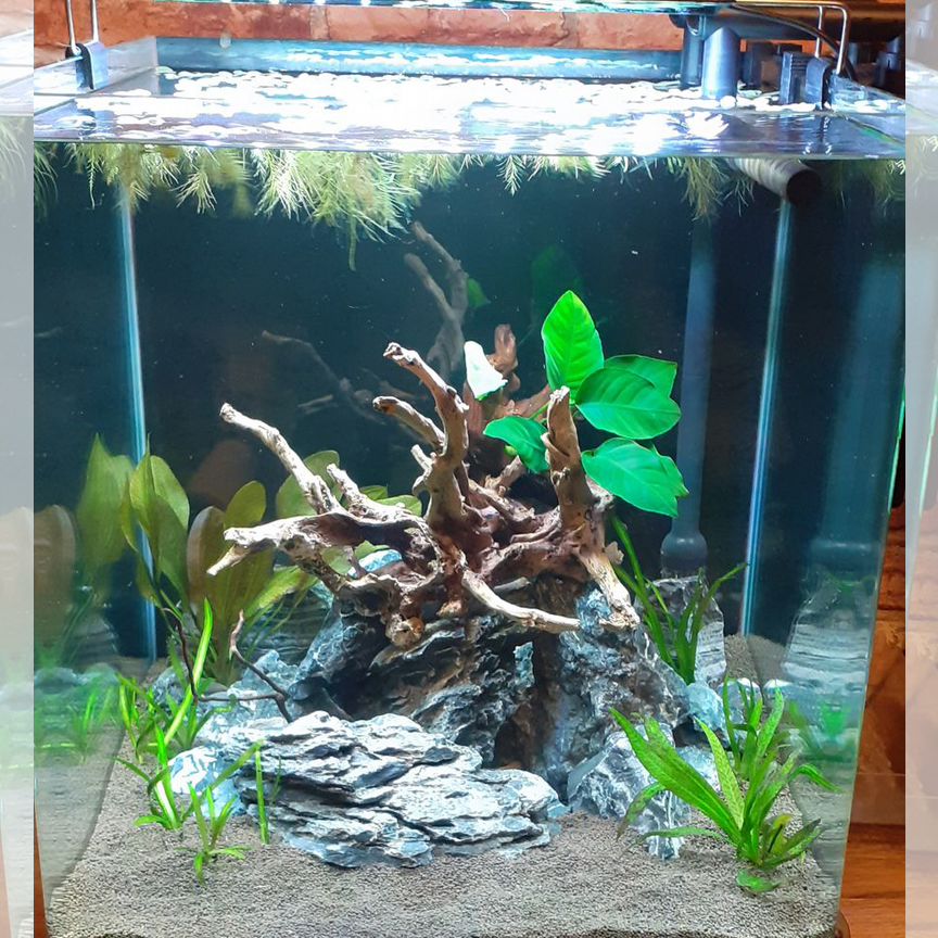 Аквариум Dennerle NanoCube 60 литров