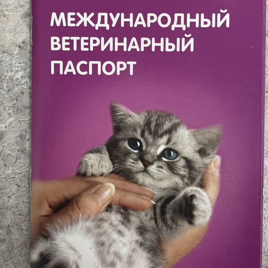 Международные ветеринарные паспорта