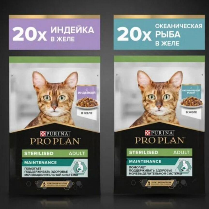 Корм для кошек