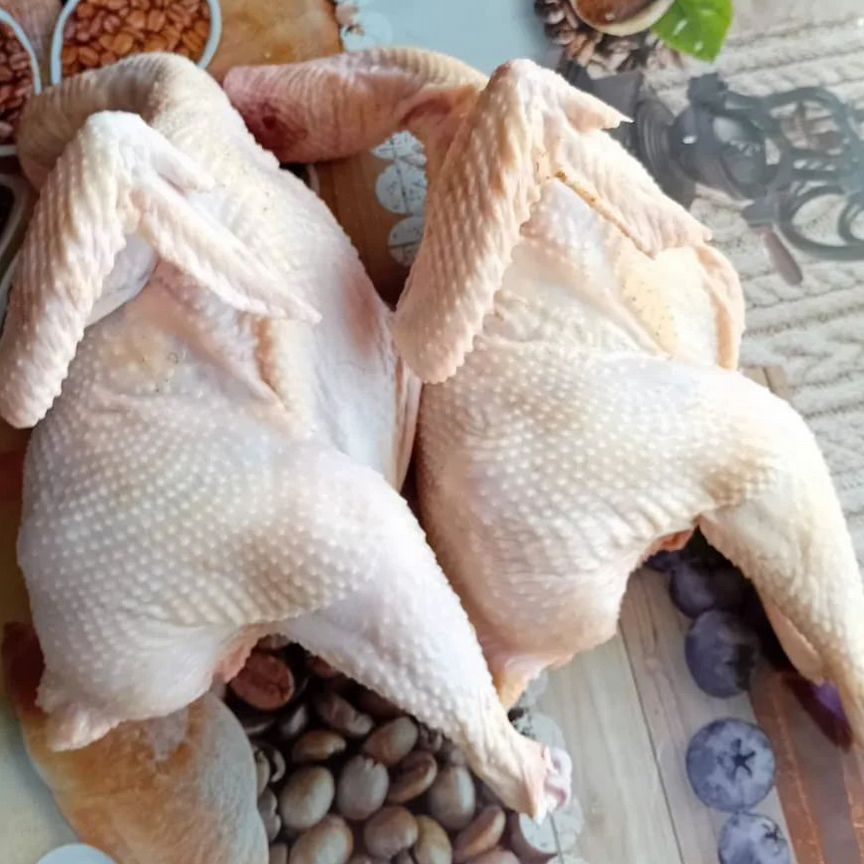 Домашняя птица