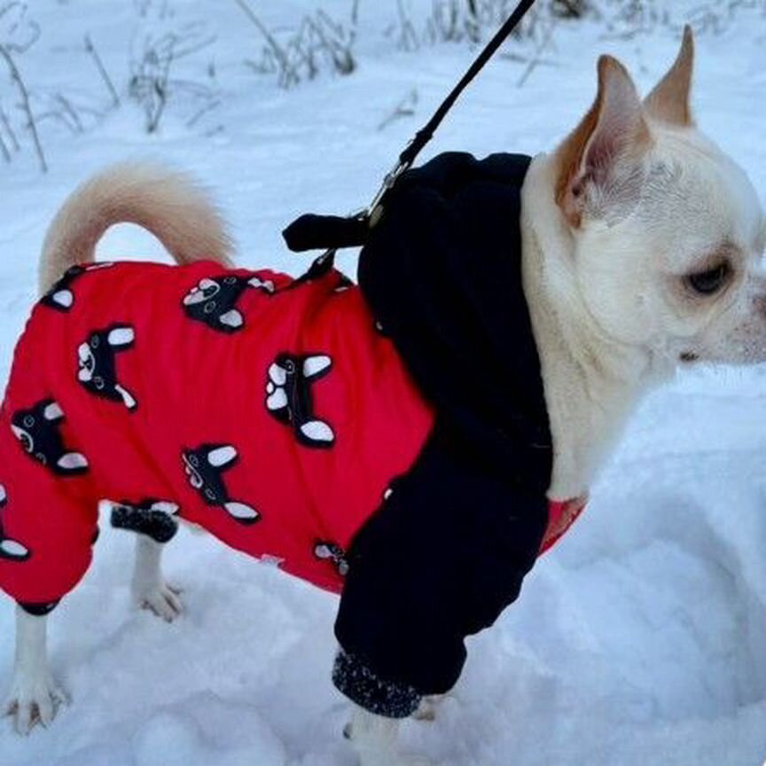 Комбинезон для средней собаки