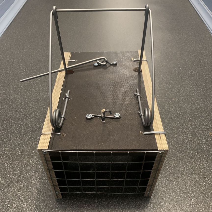 Ящичная ловушка