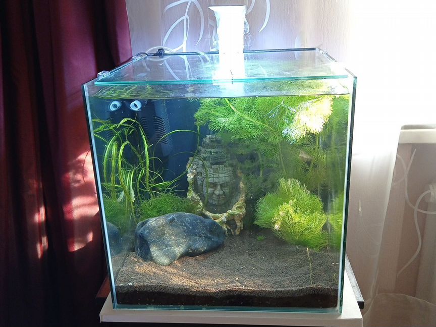 Аквариум 64 л