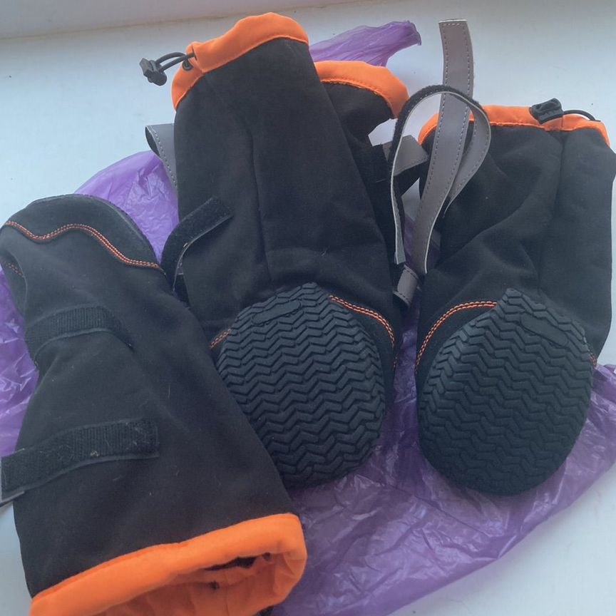 Собаки и кошки