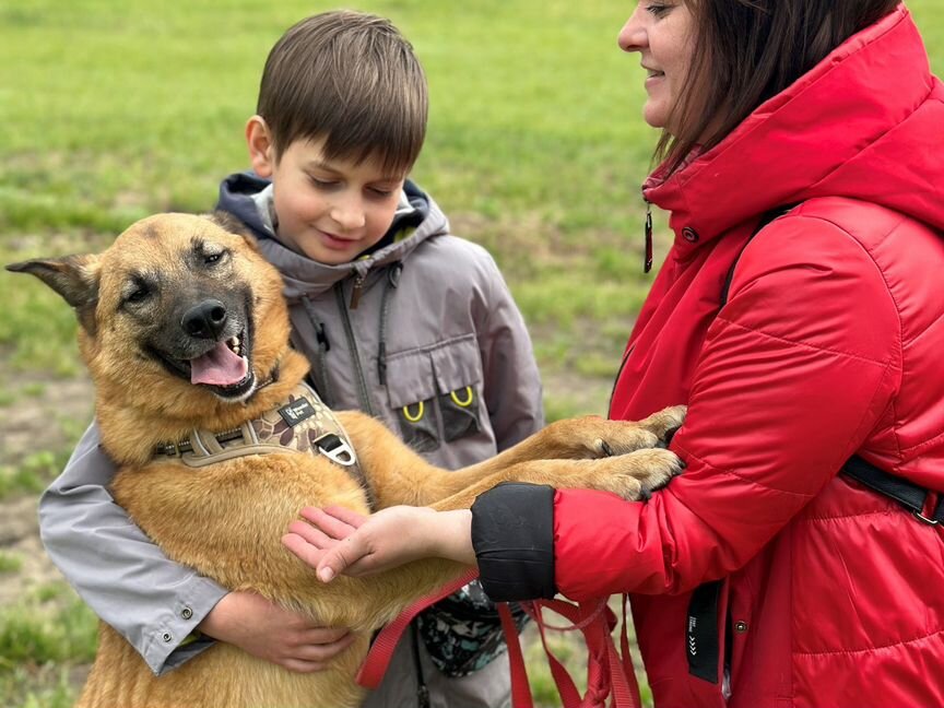 Ласковый пёсик из приюта очень хочет домой