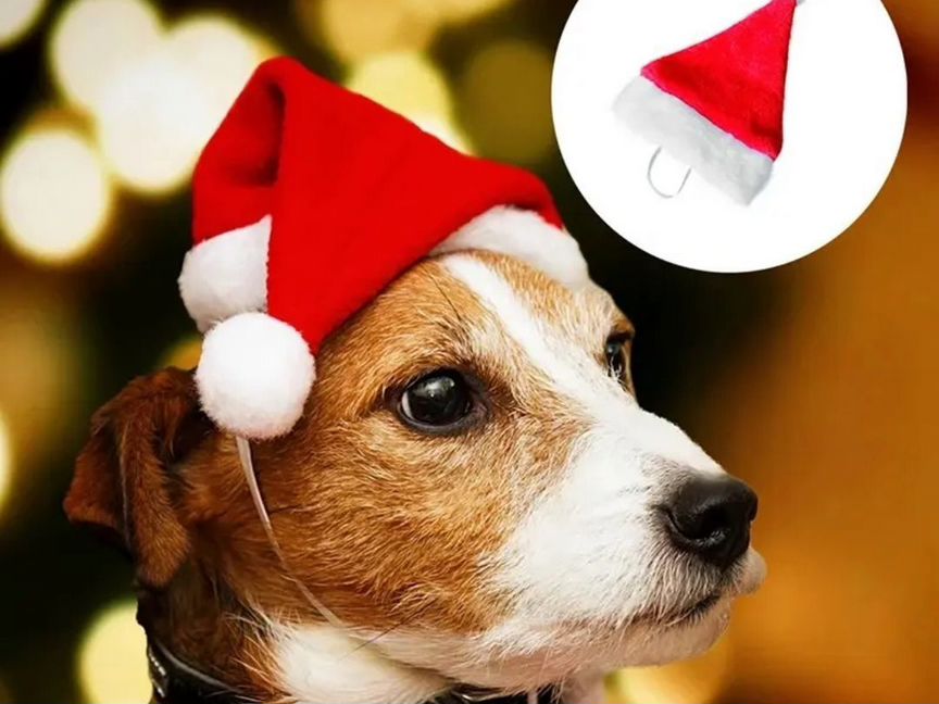 Шапка новогодняя для животных