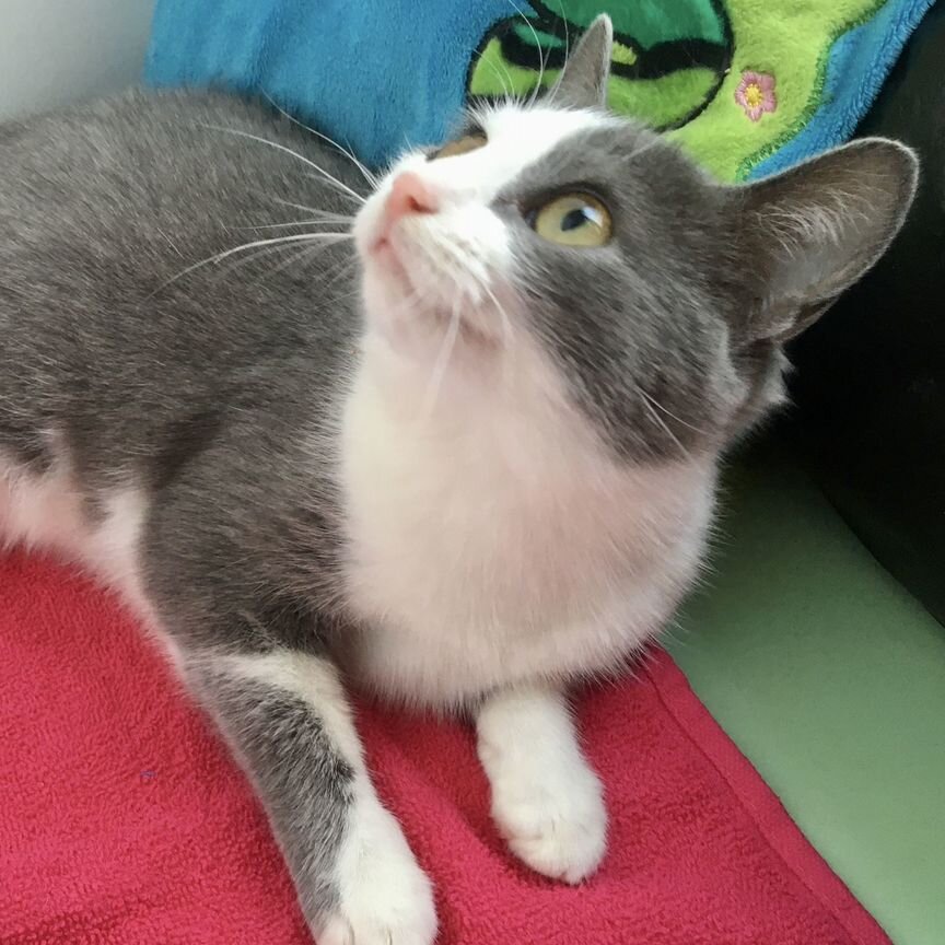 Спасём вместе