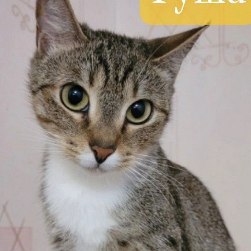 Молоденькая девочка ждёт свою семью