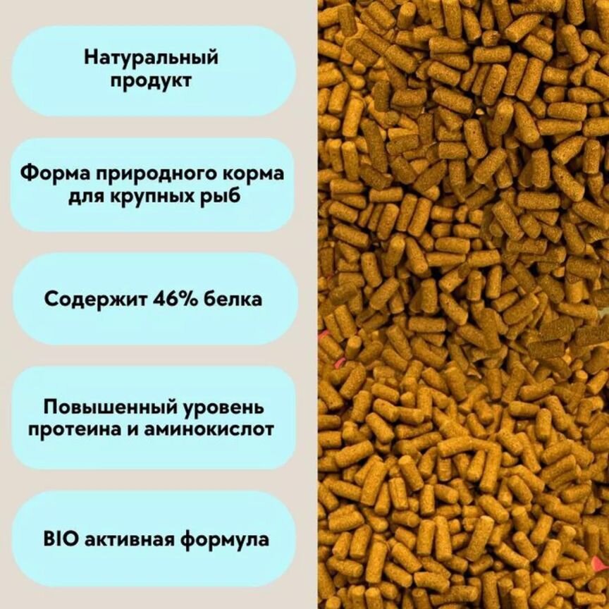 Специализированный корм для рыб