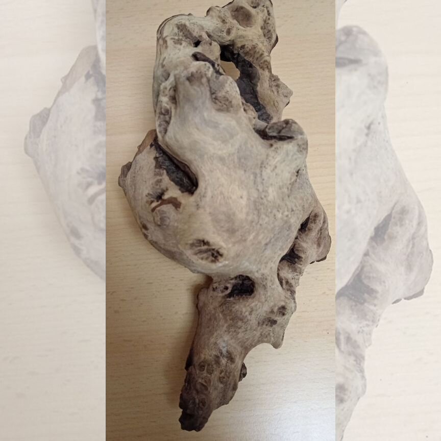 Аквариумная коряга мопани