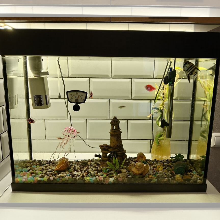 Аквариум 100 литров