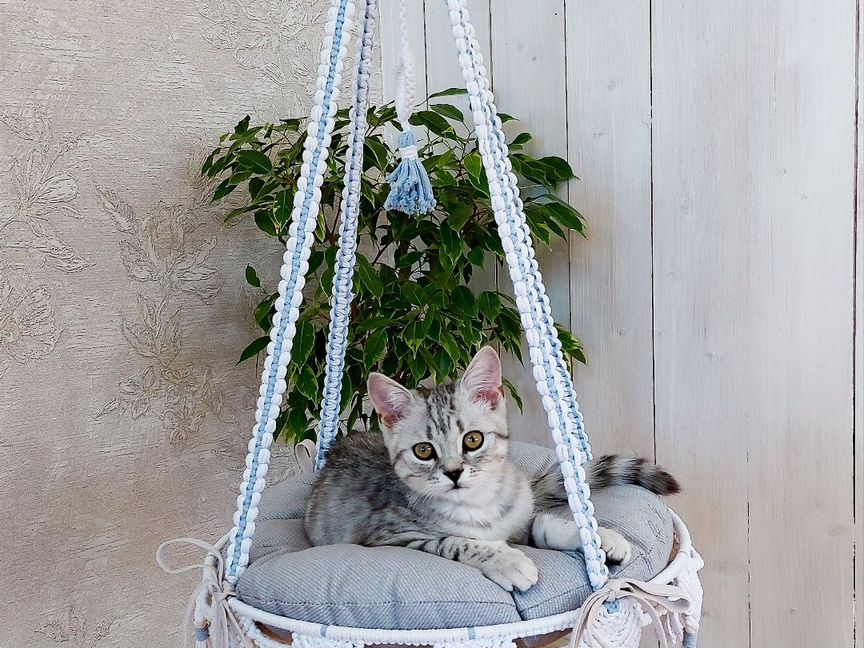 Гамак для кота