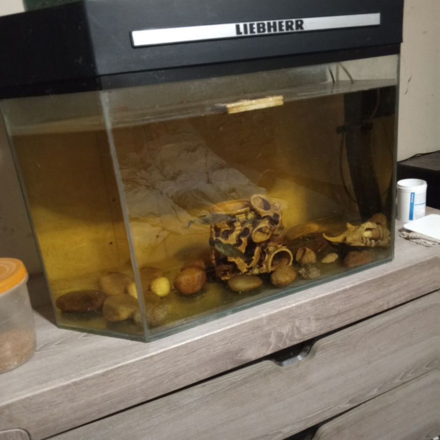 Аквариум с рыбками