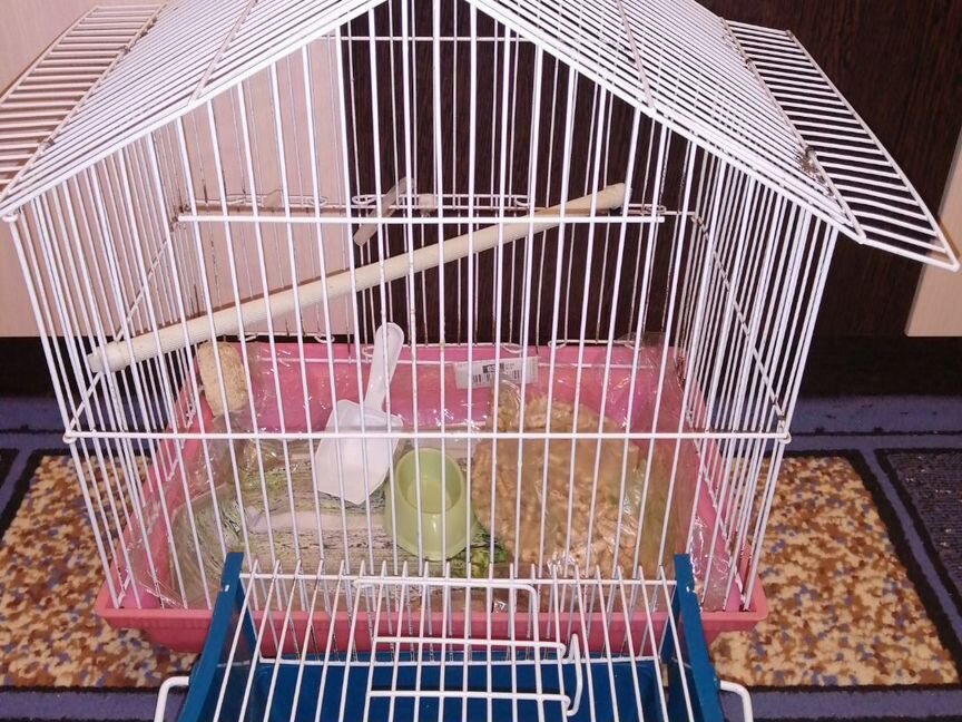 Клетка для мелких грызунов+переноска в подарок