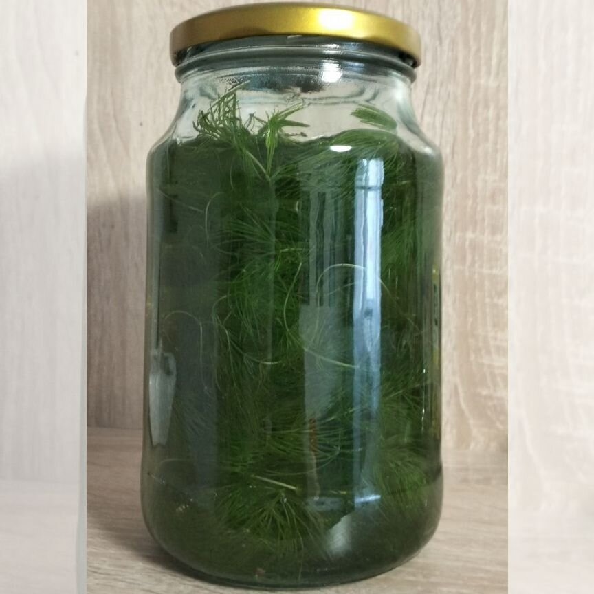 Отдам роголистник