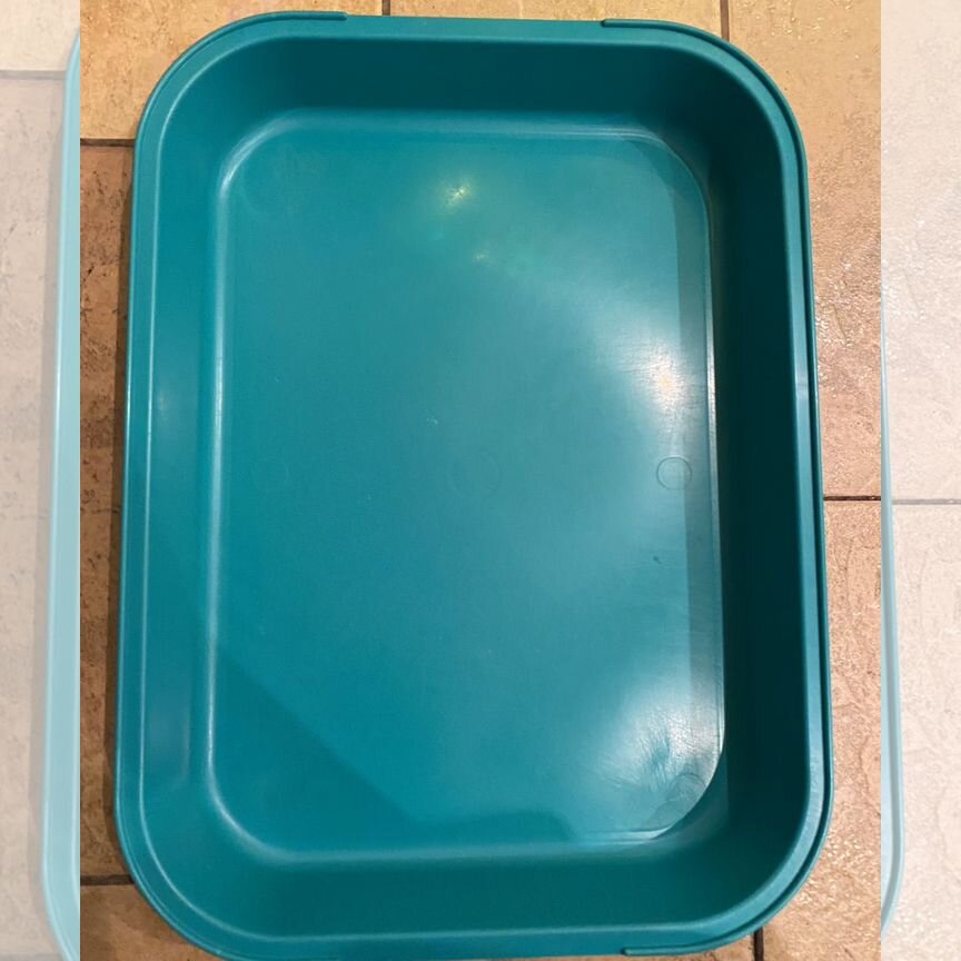 Лоток для кошек бу