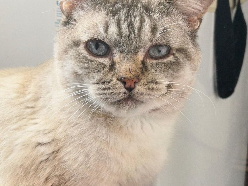 В ожидании семьи