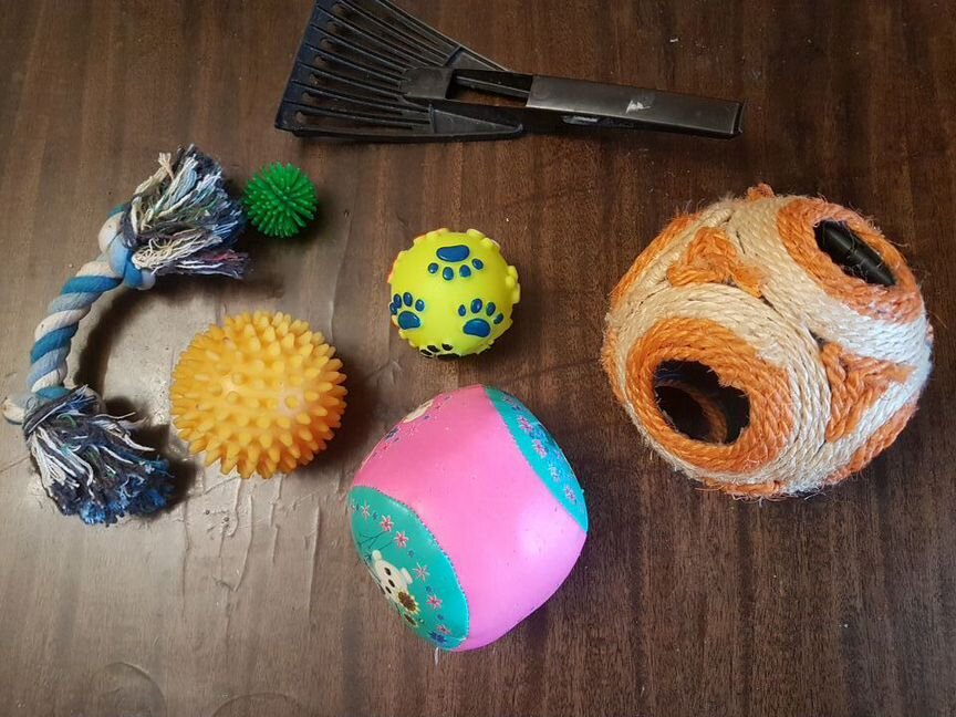 Игрушки для кошки и совок