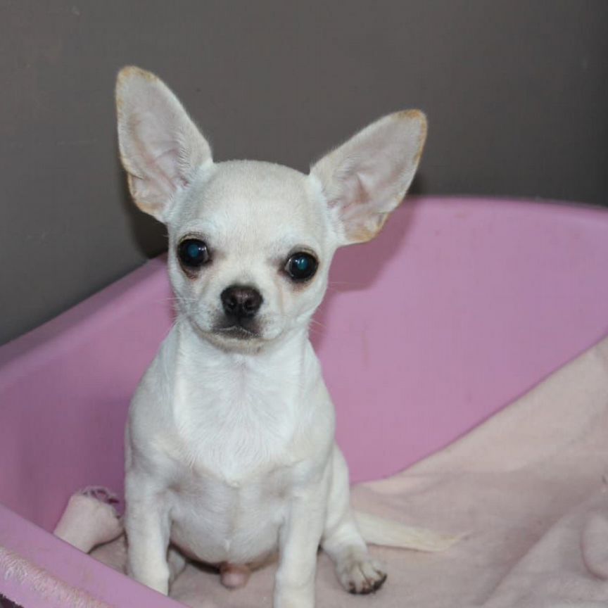 Мальчик подросток