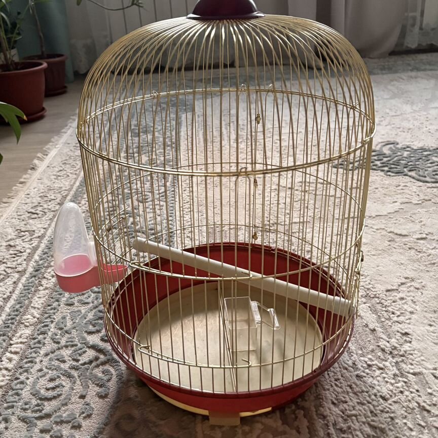 Клетка для Попугайчиков