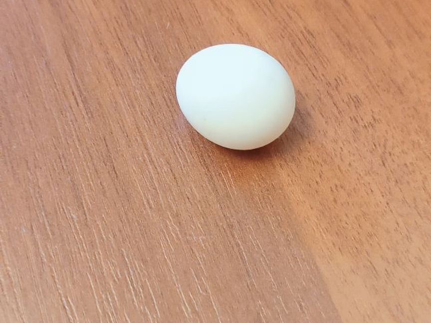 Яйцо Кореллы