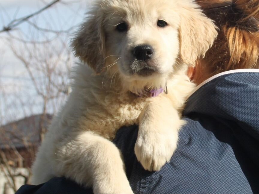 Солнышко в дом