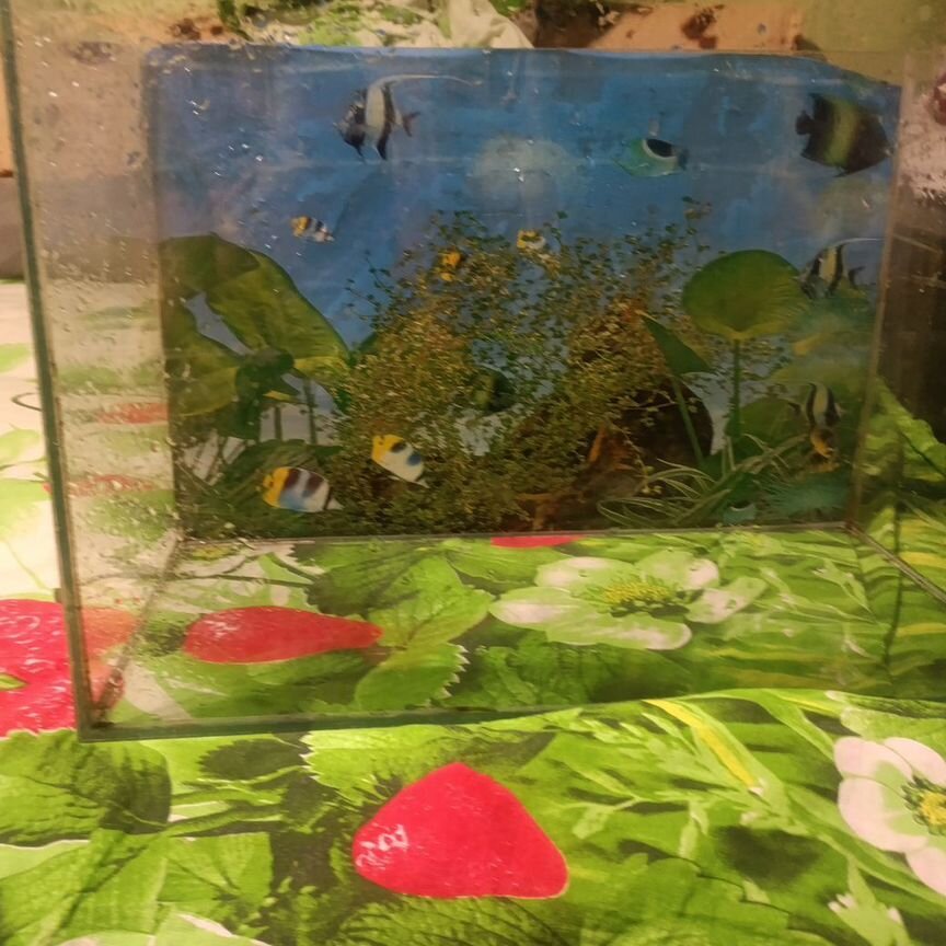 Отдаю аквариум 30 л