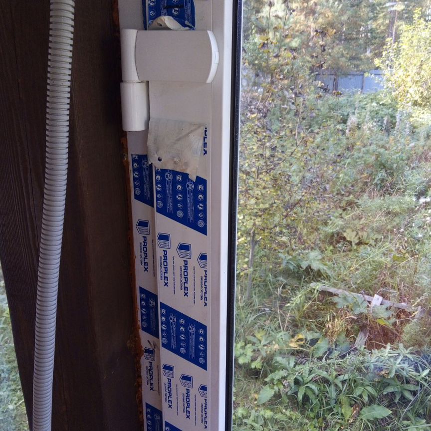 Птенцы волнистый попугай