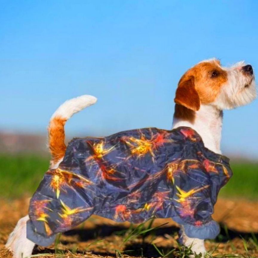 Комбинезон для собаки