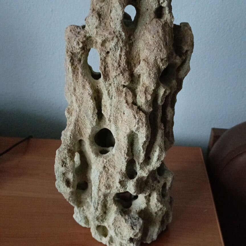 Каралл для аквариума