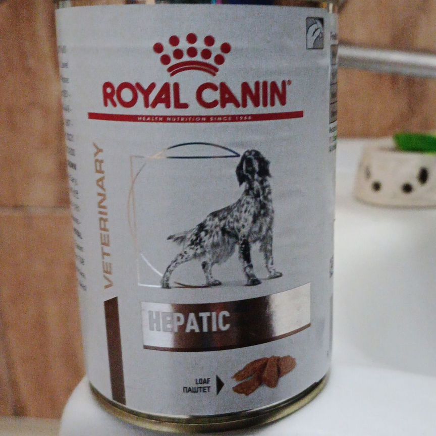 Корм для собак royal canin