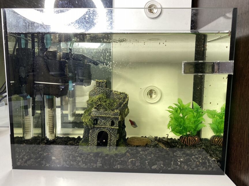 Аквариум с рыбками