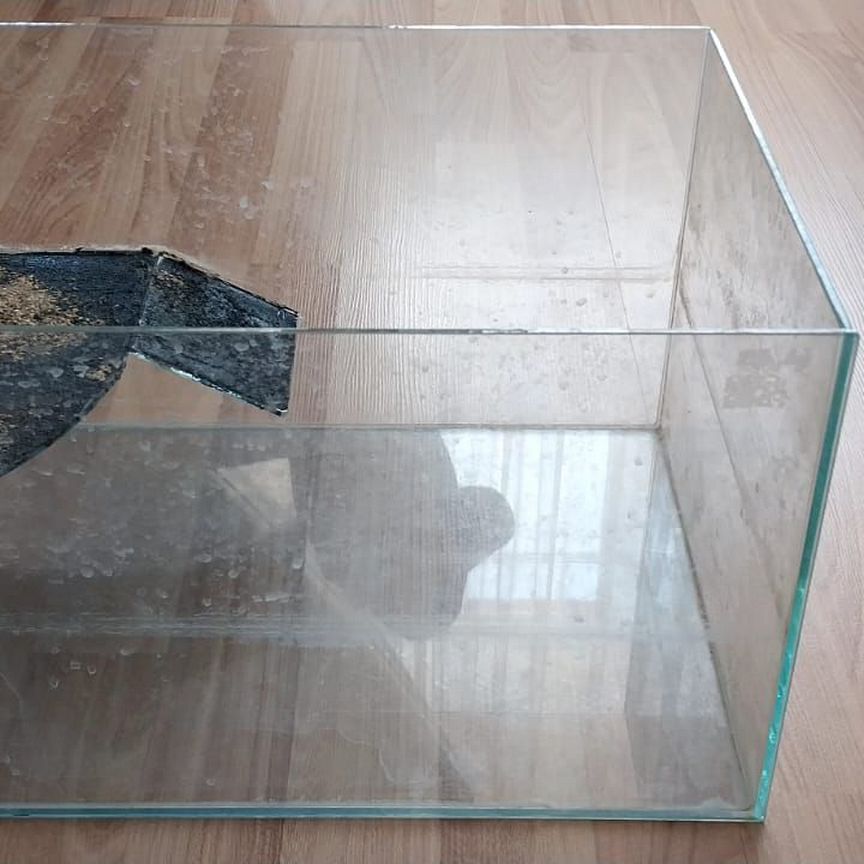 Аквариум для черепах бу