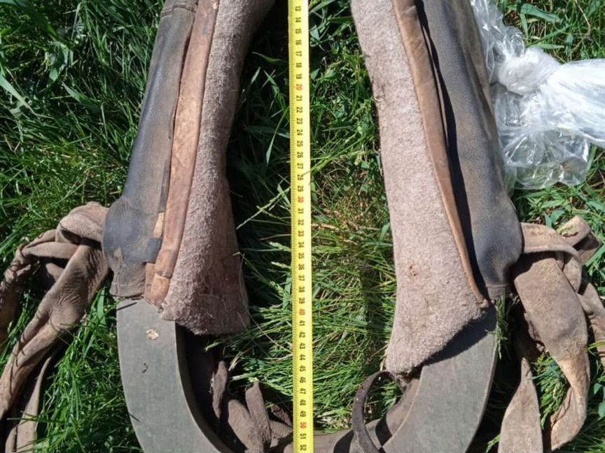 Хомут, сбруя, телега, сани