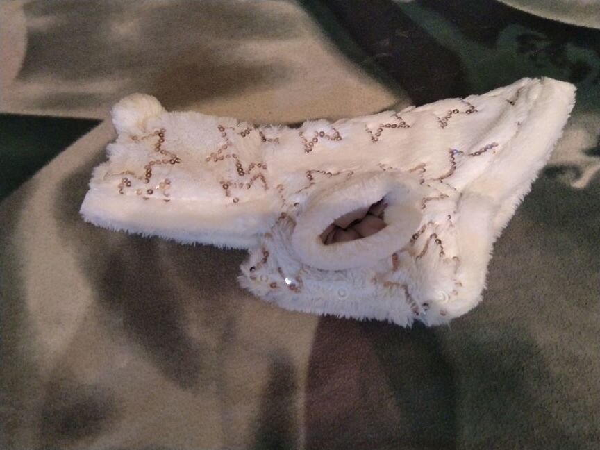 Новогодняя шубка для маленькой собачки